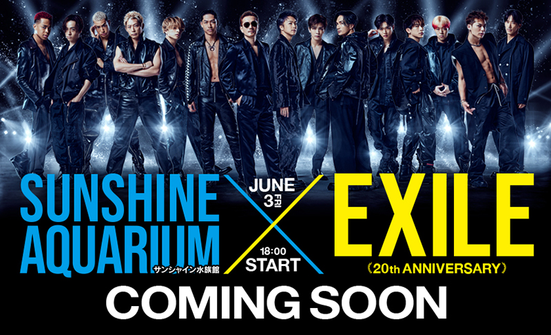 EXILE20周年企画としてサンシャイン水族館とのコラボレーションイベントが決定 | エイベックス・ポータル - avex portal